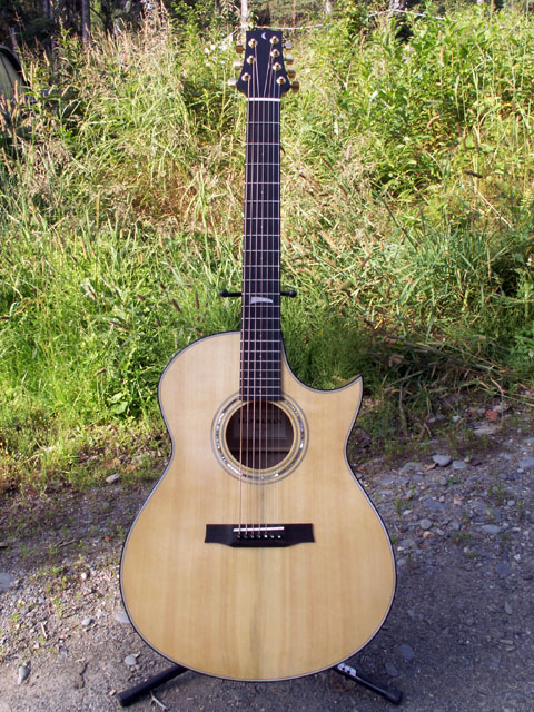 Andrew's Creations 7 string Birch Acoustic Guitar